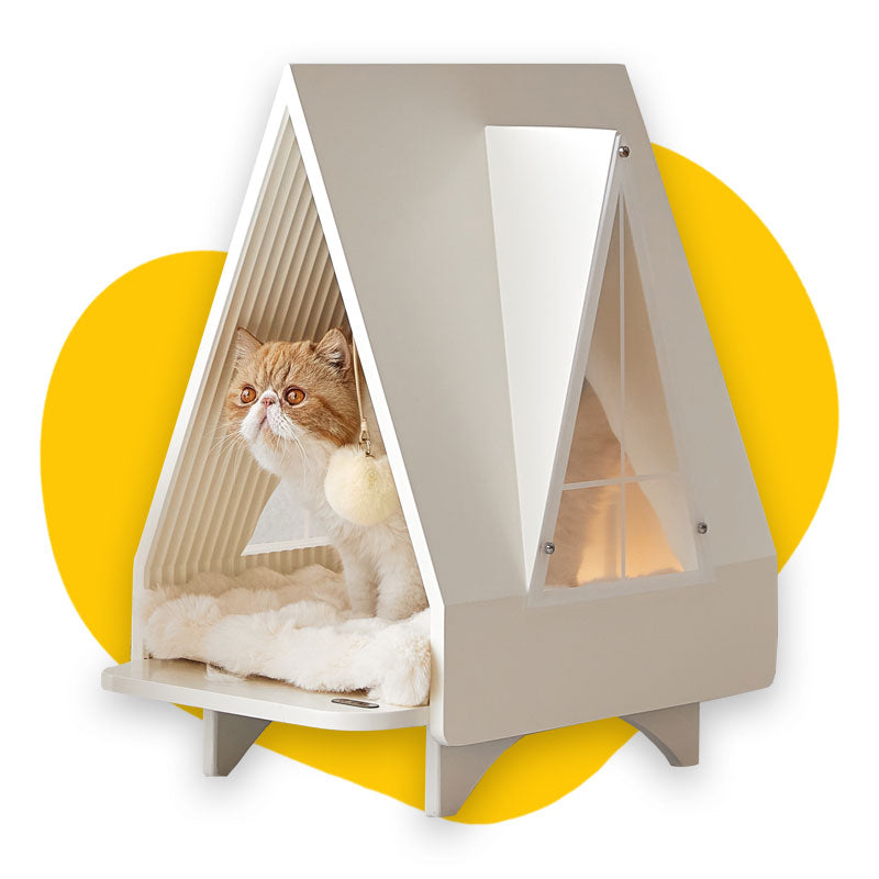 Cat House – MEWCATS