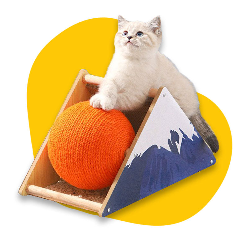 Mewcats-Your one-stop solution for all your cat needs – MEWCATS