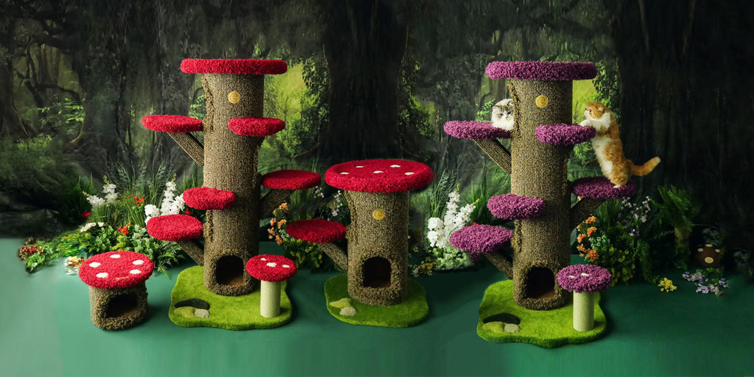 Mewcats-Your one-stop solution for all your cat needs – MEWCATS