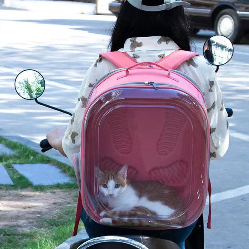 Capsule cat backpack store