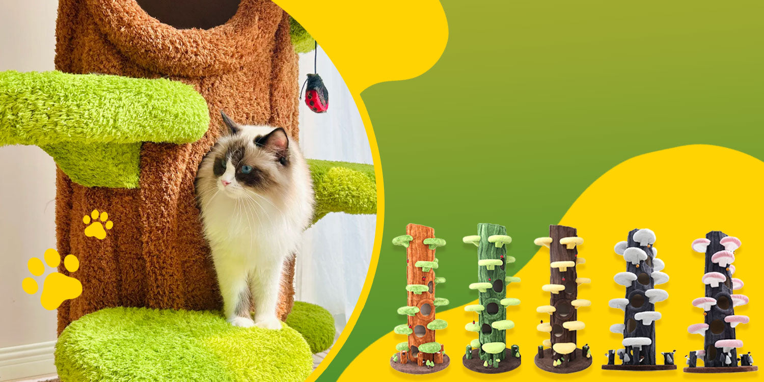 Mewcats-Your one-stop solution for all your cat needs – MEWCATS