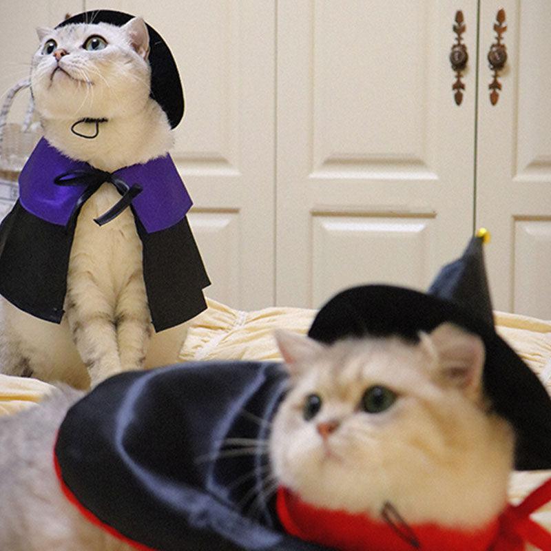Wizard Cat Cape Hat Pumpkin Bib Halloween Costume – MEWCATS