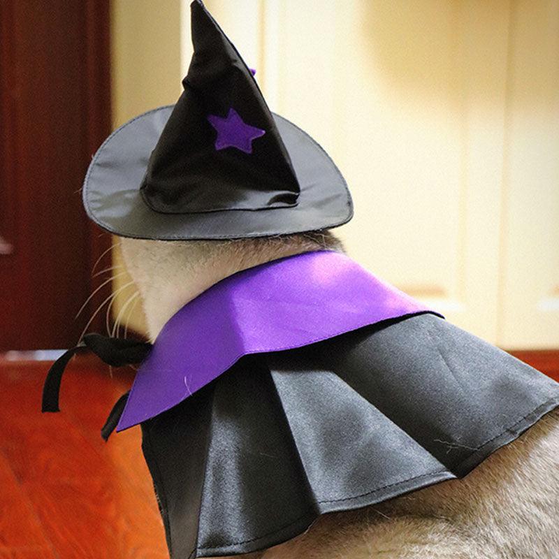 Wizard Cat Cape Hat Pumpkin Bib Halloween Costume – MEWCATS